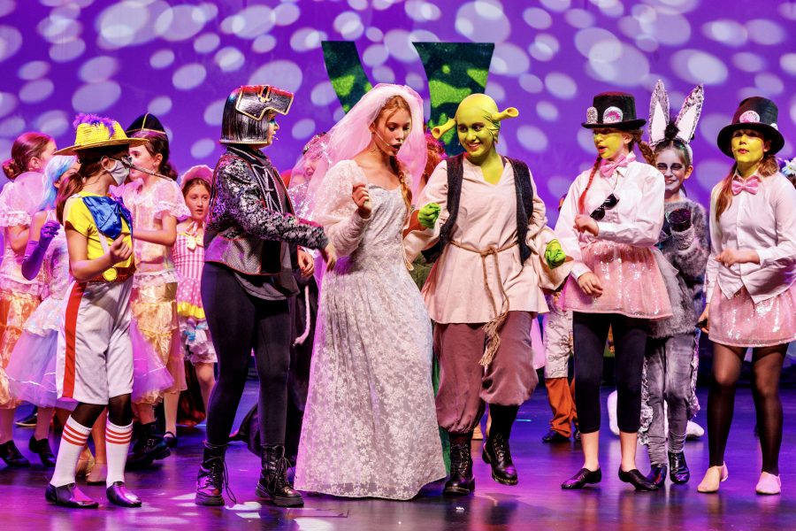 PAST PERFORMANCES – Inside Out Theatre Company, Inc.